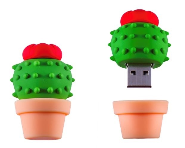 USB-stick Cactus 16GB